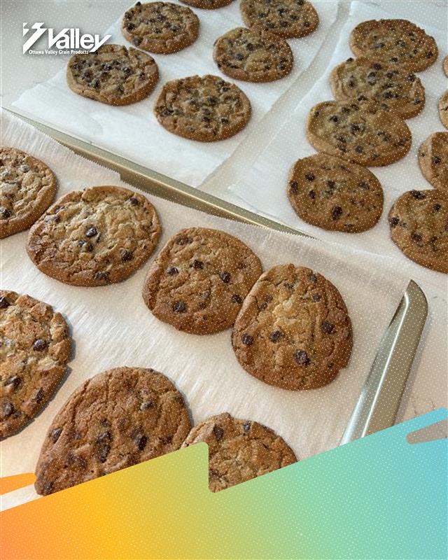 Barley Flour Chocolate Chunk Cookies (Digital Download) – Ottawa Valley ...